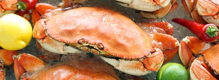 Kodiak Crab Festival Guide | Outdoorsy