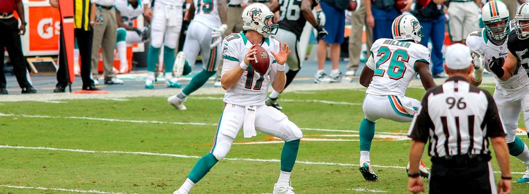 Miami Dolphins Tailgating Guide | Outdoorsy