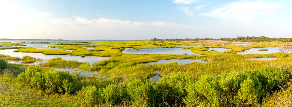 Big Run State Park Guide | Outdoorsy