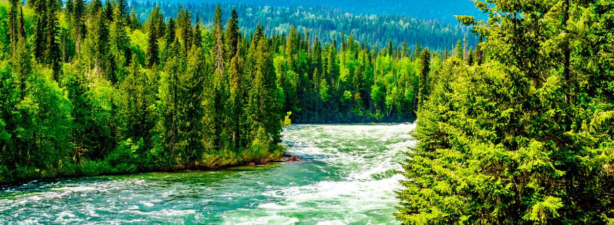 Cariboo Mountains Provincial Park Guide | Outdoorsy