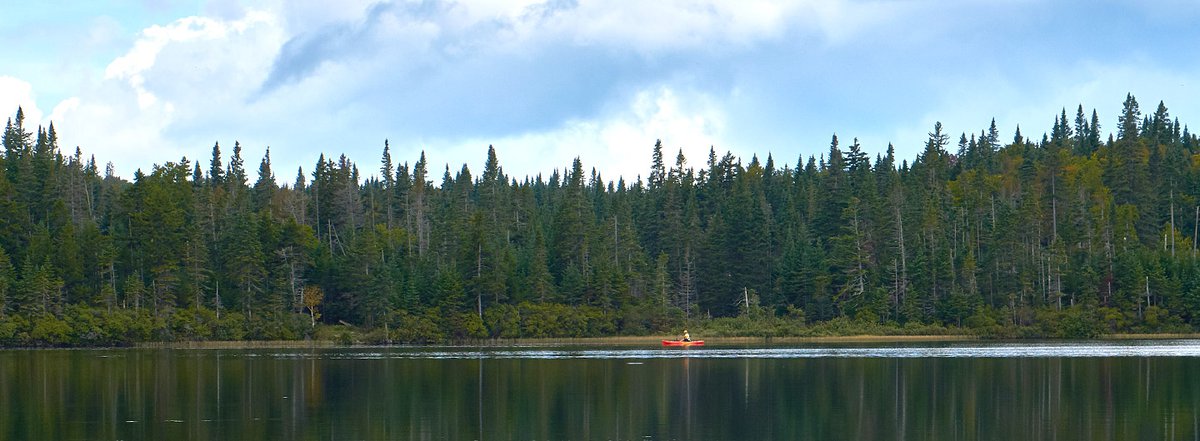 Coleman State Park Guide | Outdoorsy