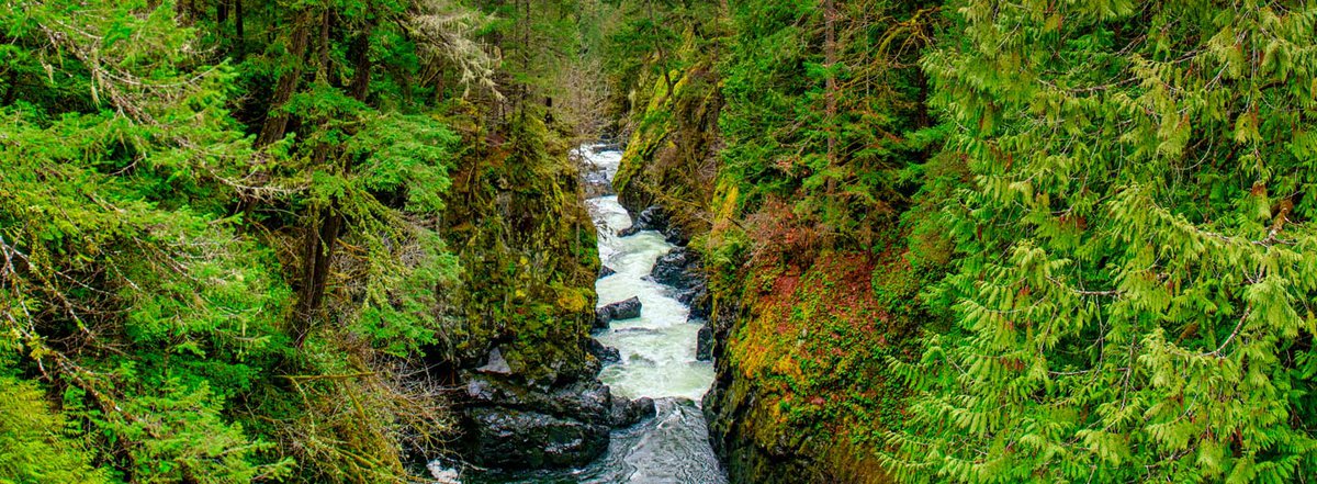 Englishman River Falls Provincial Park Guide | Outdoorsy
