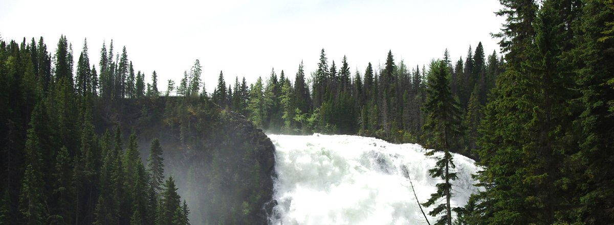 Gwillim Lake Provincial Park Guide | Outdoorsy