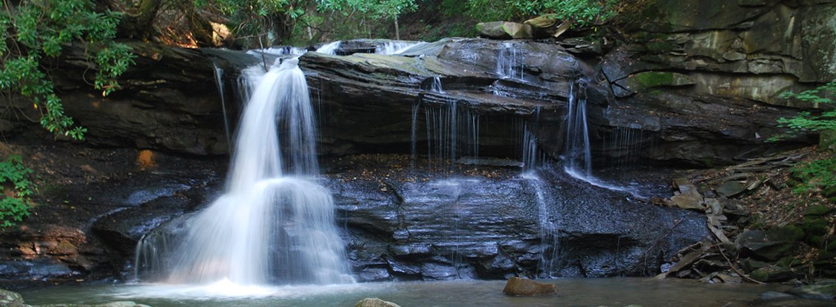 Holly River State Park Guide | Outdoorsy