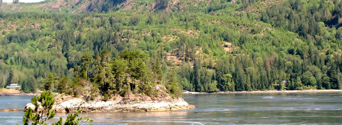 Jackson Washington State Forest Guide | Outdoorsy