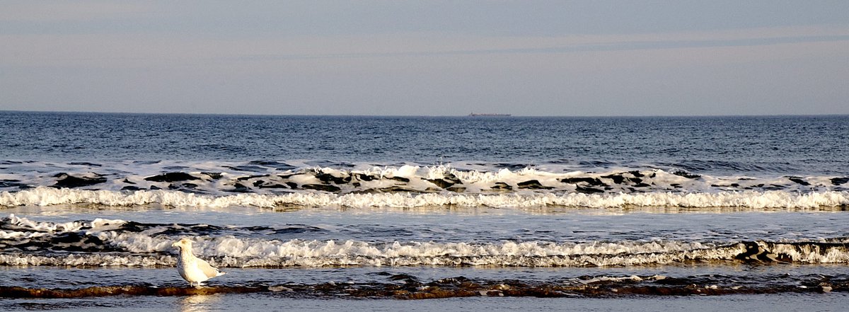 Jenness State Beach Guide | Outdoorsy