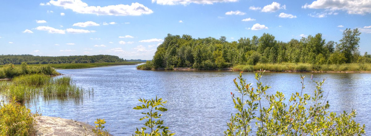 Lahontan State Park Guide | Outdoorsy