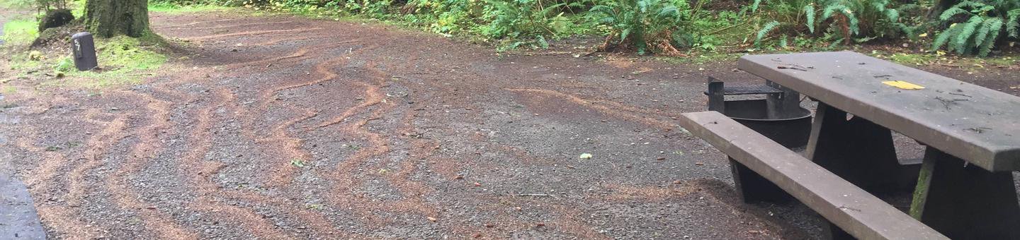 Take a trip to Mora Campground - Outdoorsy in Port Angeles , WA | Outdoorsy