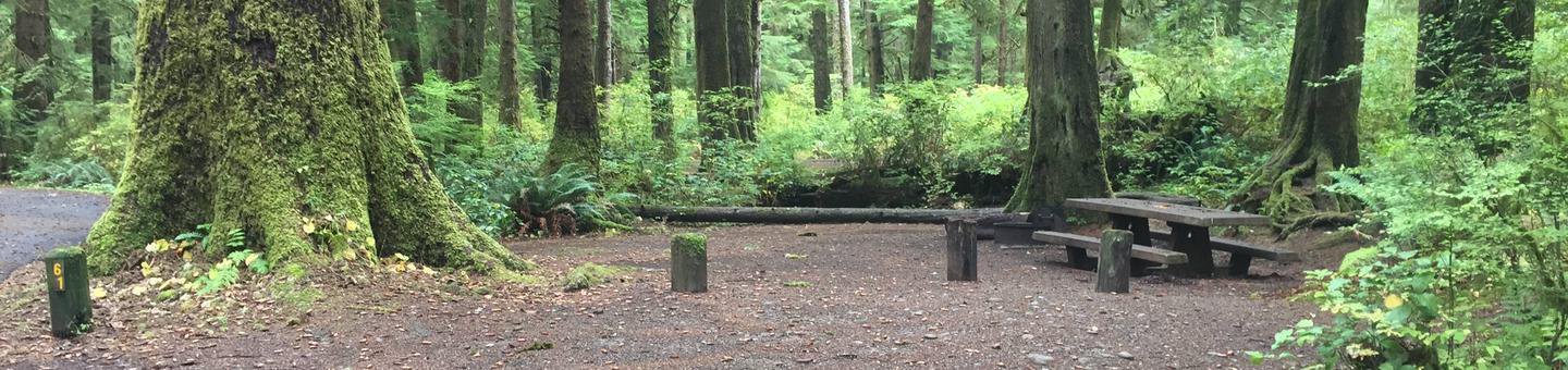 Take a trip to Mora Campground - Outdoorsy in Port Angeles , WA | Outdoorsy