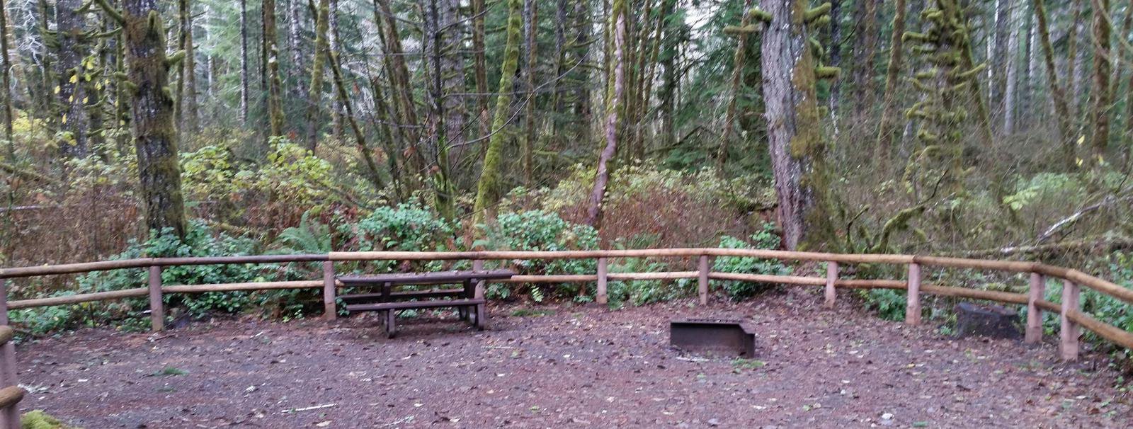 Take a trip to Alsea Falls Recreation Site - Outdoorsy in Monroe, OR ...