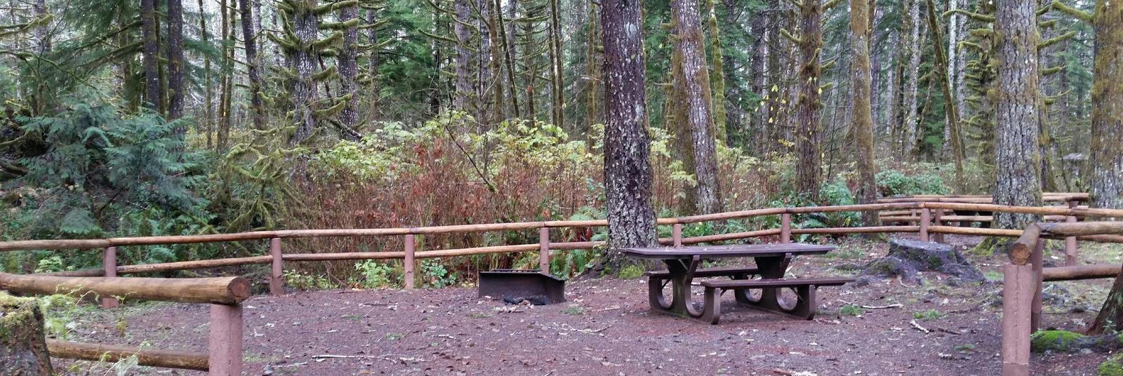 Take a trip to Alsea Falls Recreation Site - Outdoorsy in Monroe, OR ...