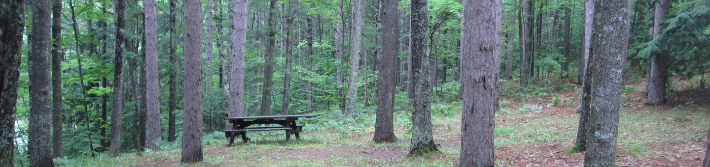 Take a trip to Little Bass Lake Dispersed Campsite - Outdoorsy in ...