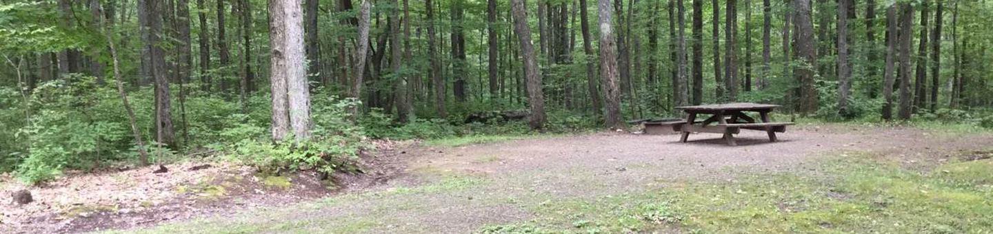 Take a trip to Tracy Ridge Campground - Outdoorsy in Bradford, PA ...