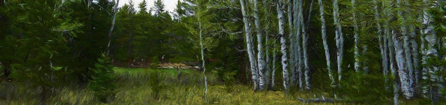 Take a trip to Hettinger Group Area Campground - Outdoorsy in Buffalo ...