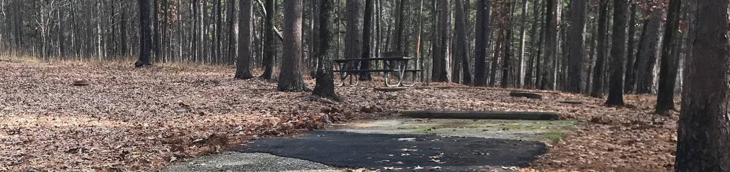 Take a trip to Edgewood Campground - Outdoorsy in , AR | Outdoorsy