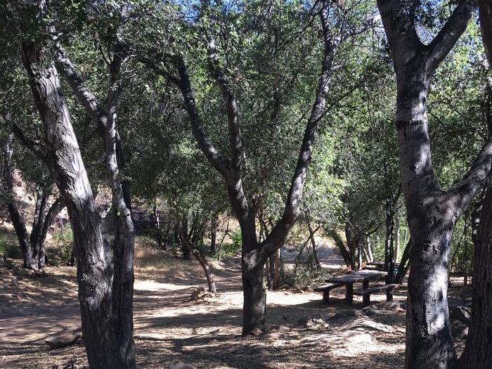 Take a trip to Holiday Group Campground - Outdoorsy in Ojai, CA | Outdoorsy