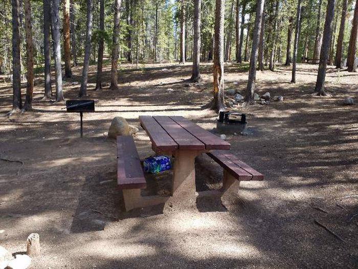 Silver Dollar Campground | Outdoorsy