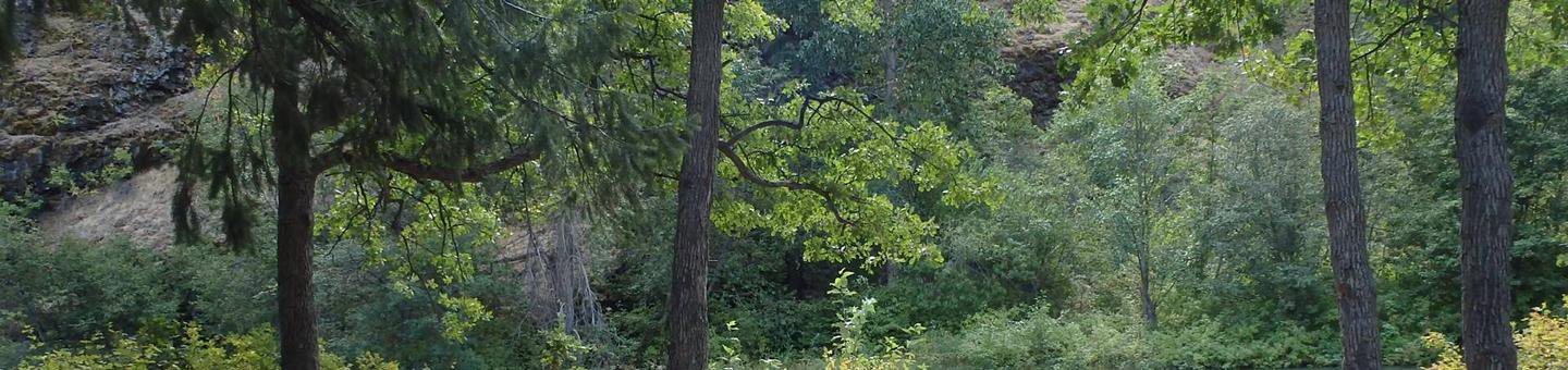 Take a trip to Windy Point Campground - Outdoorsy in Naches, WA | Outdoorsy