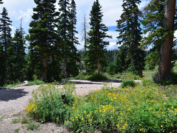 Take a trip to Point Supreme Campground - Outdoorsy in Brian Head, UT ...