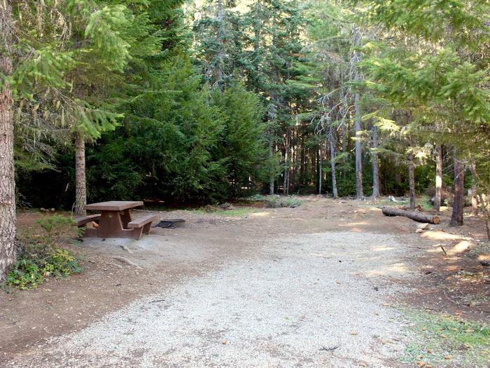 Take a trip to North Arm (Timothy Lake) Campground - Outdoorsy in , OR ...