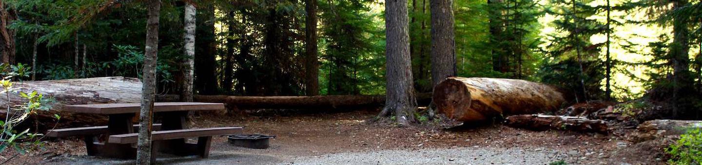 Take a trip to North Arm (Timothy Lake) Campground - Outdoorsy in , OR ...