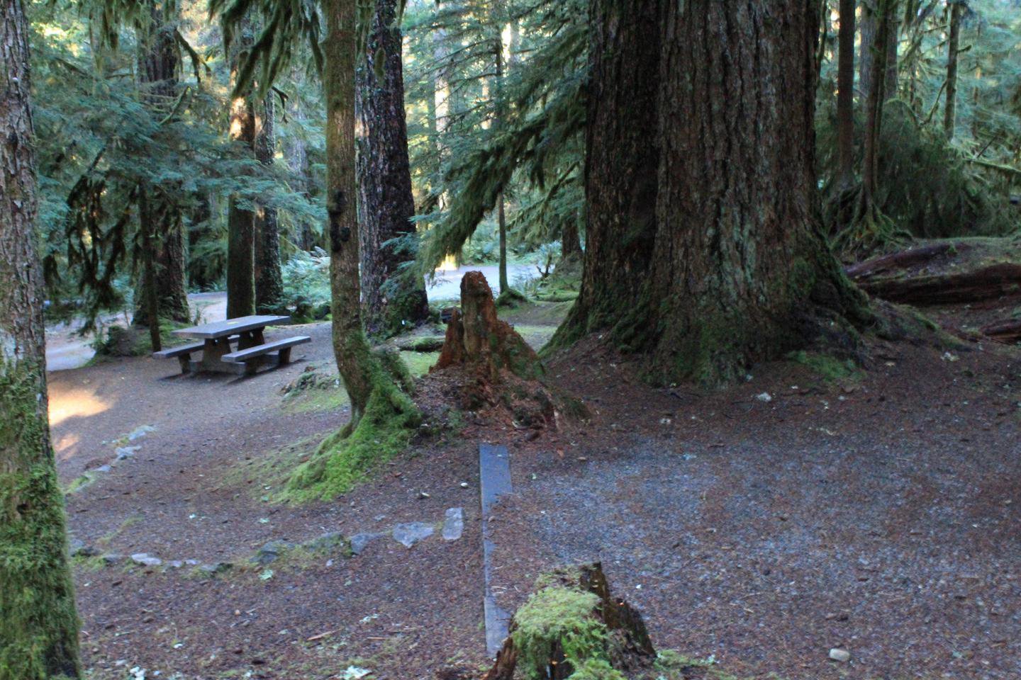Take a trip to Sol Duc Hot Springs Resort Campground - Outdoorsy in ...