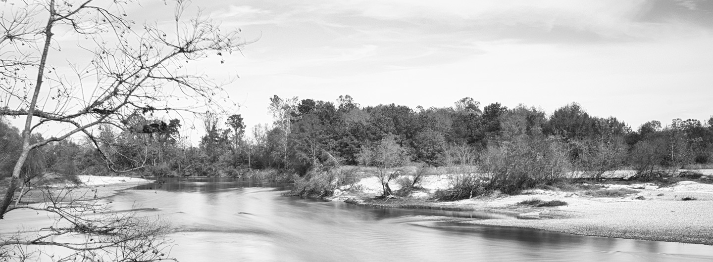 Bogue Chitto State Park Photos