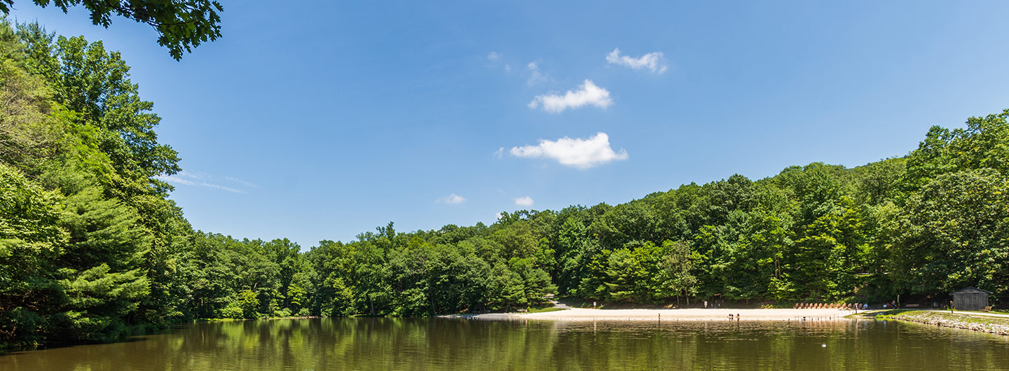 Colonel Denning State Park Wedding