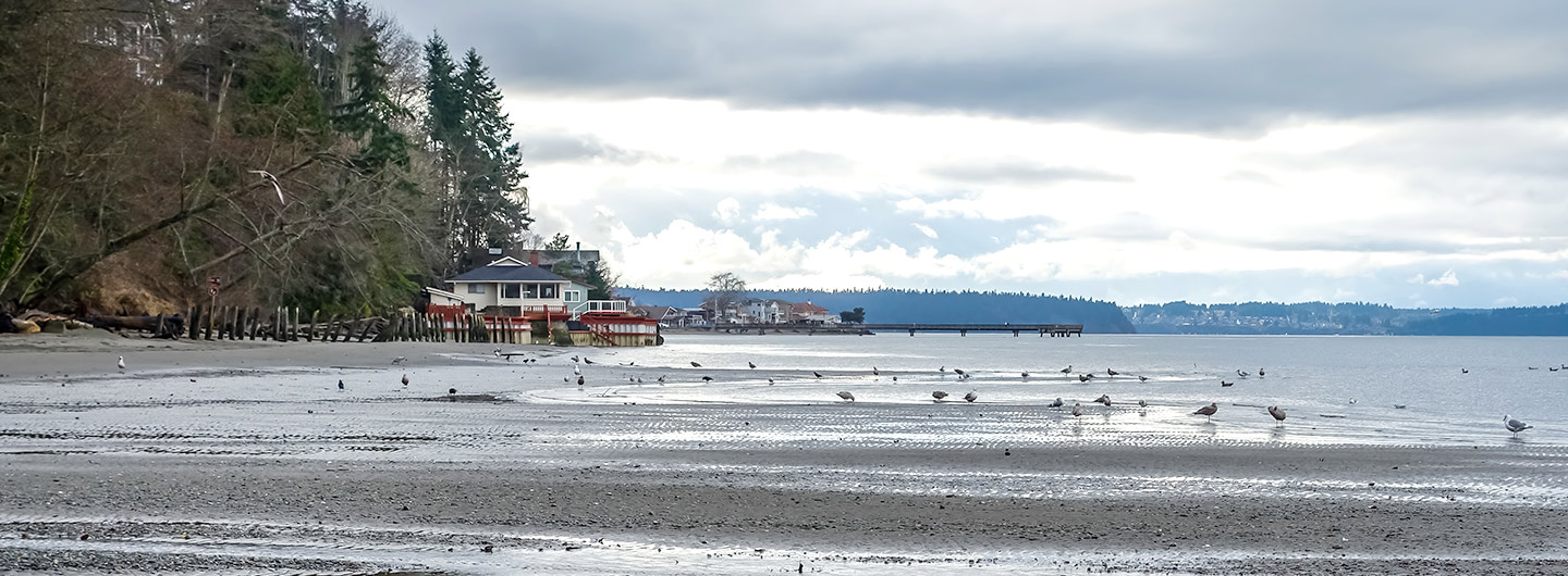 Dash Point State Park Campground Camping At Dash Point State Park