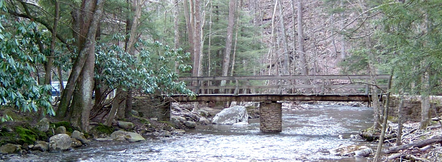 Holly River State Park Campground Camping Around West Virginia: Holly