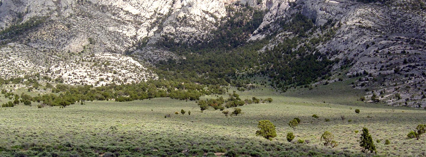 Cave Lake State Park Guide - Nevada