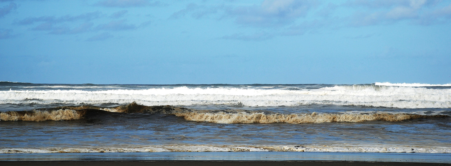 Pacific Beach State Park Guide - Washington