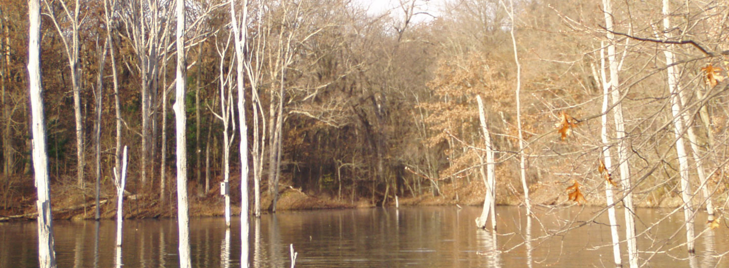 Shakamak State Park Guide - Indiana