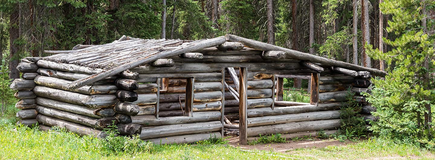 State Forest State Park Guide - Colorado