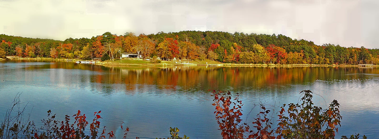 Tyler State Park Guide - Texas